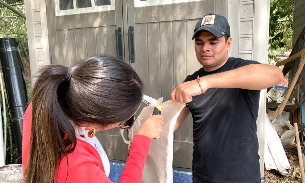 INICIAN SU PROPIO HUERTO FAMILIAR DESDE CASA - Revista Personalidades